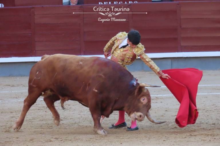 AARÓN PALACIO CORTA UNA OREJITA EN LA FERIA DE LOS INVÁLIDOS – Crítica ...
